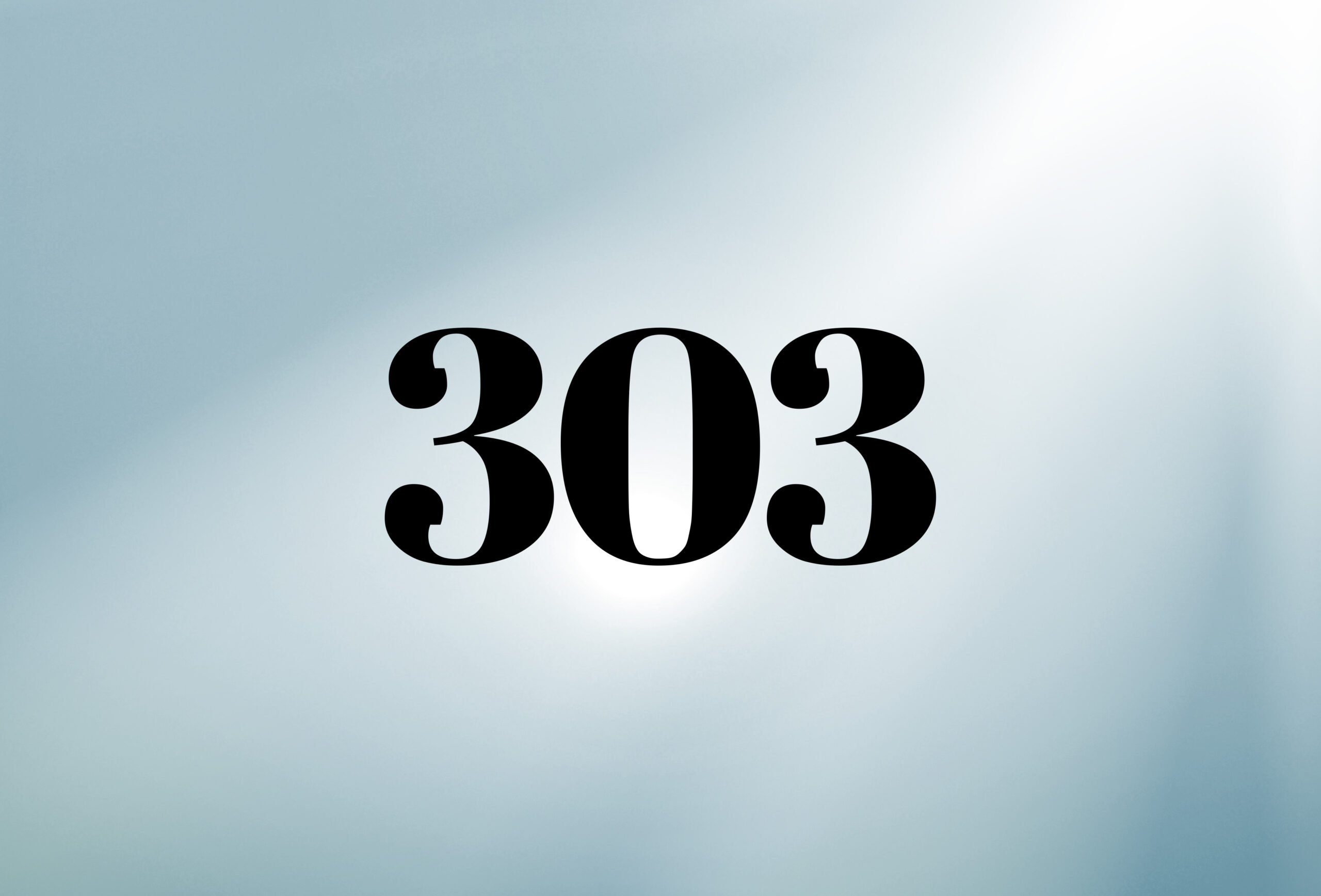 303 Angel Number